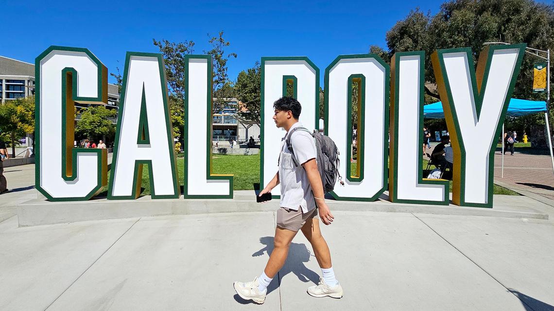 Did you get accepted to Cal Poly SLO? Acceptances go out | San Luis ...